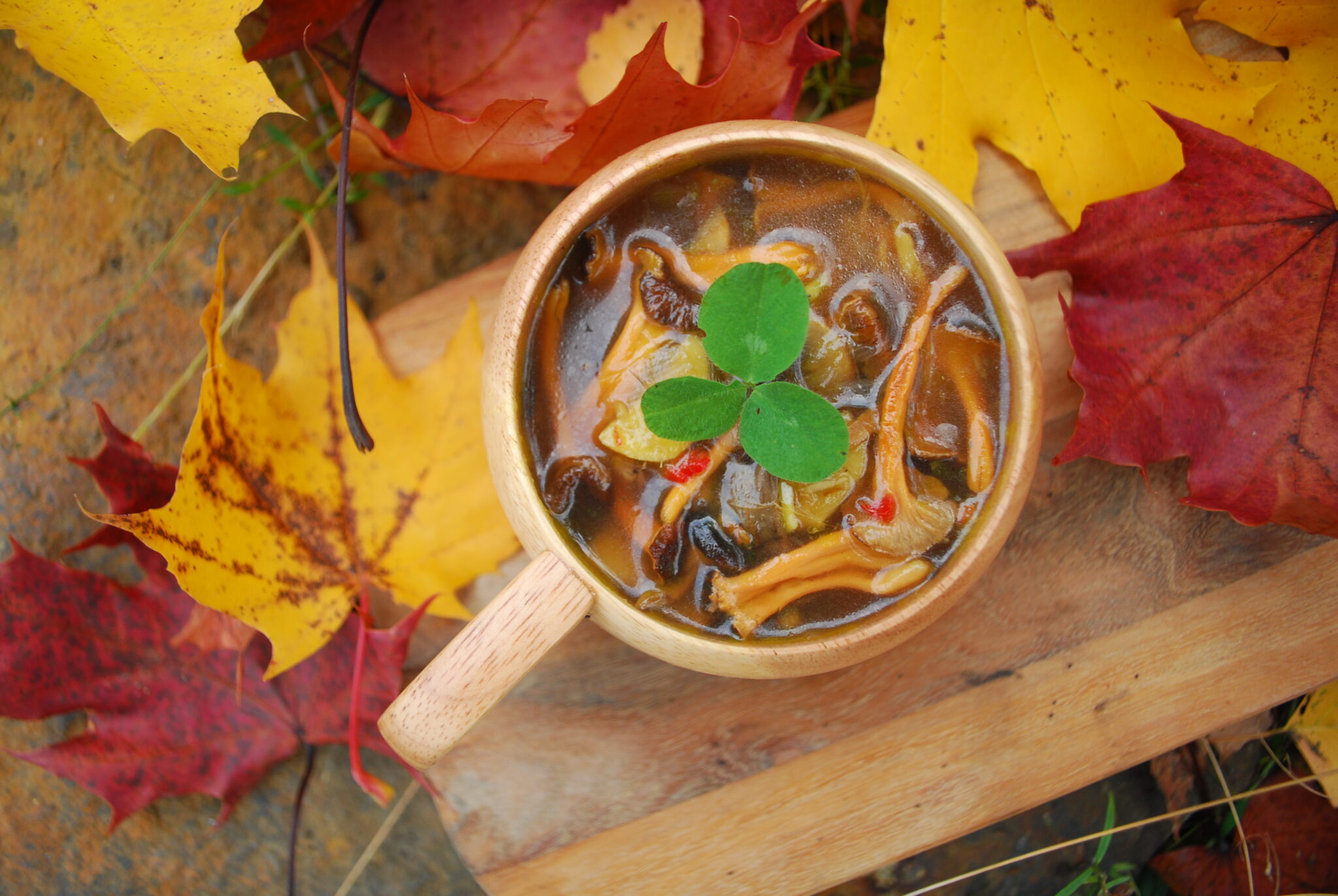 Thailandsk skogsoppsuppe - Turmat.no