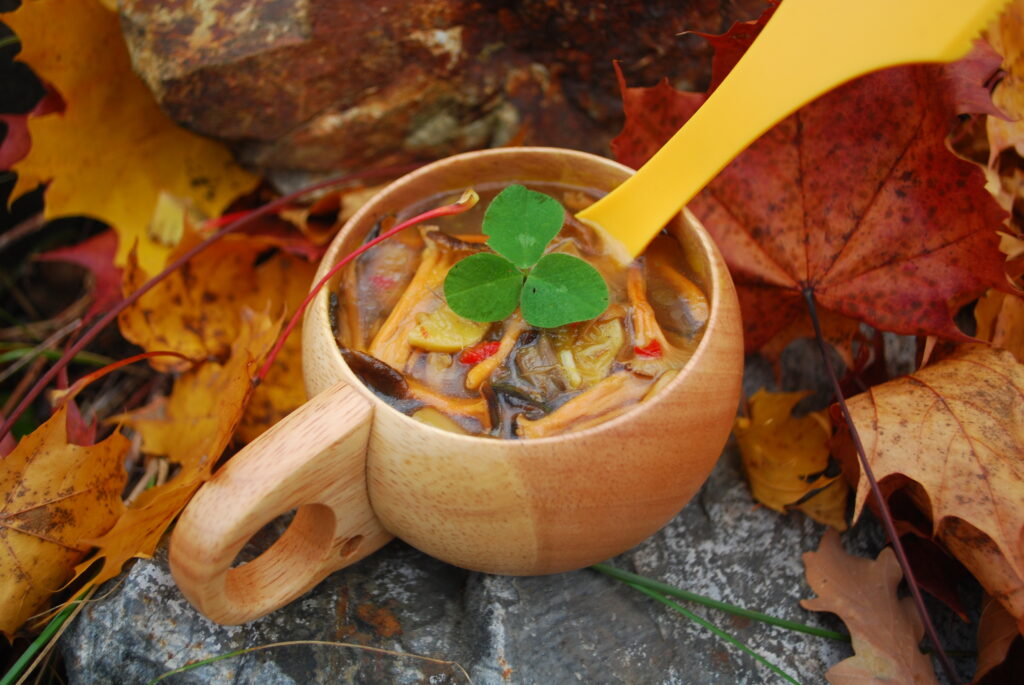 Thailandsk skogsoppsuppe - Turmat.no