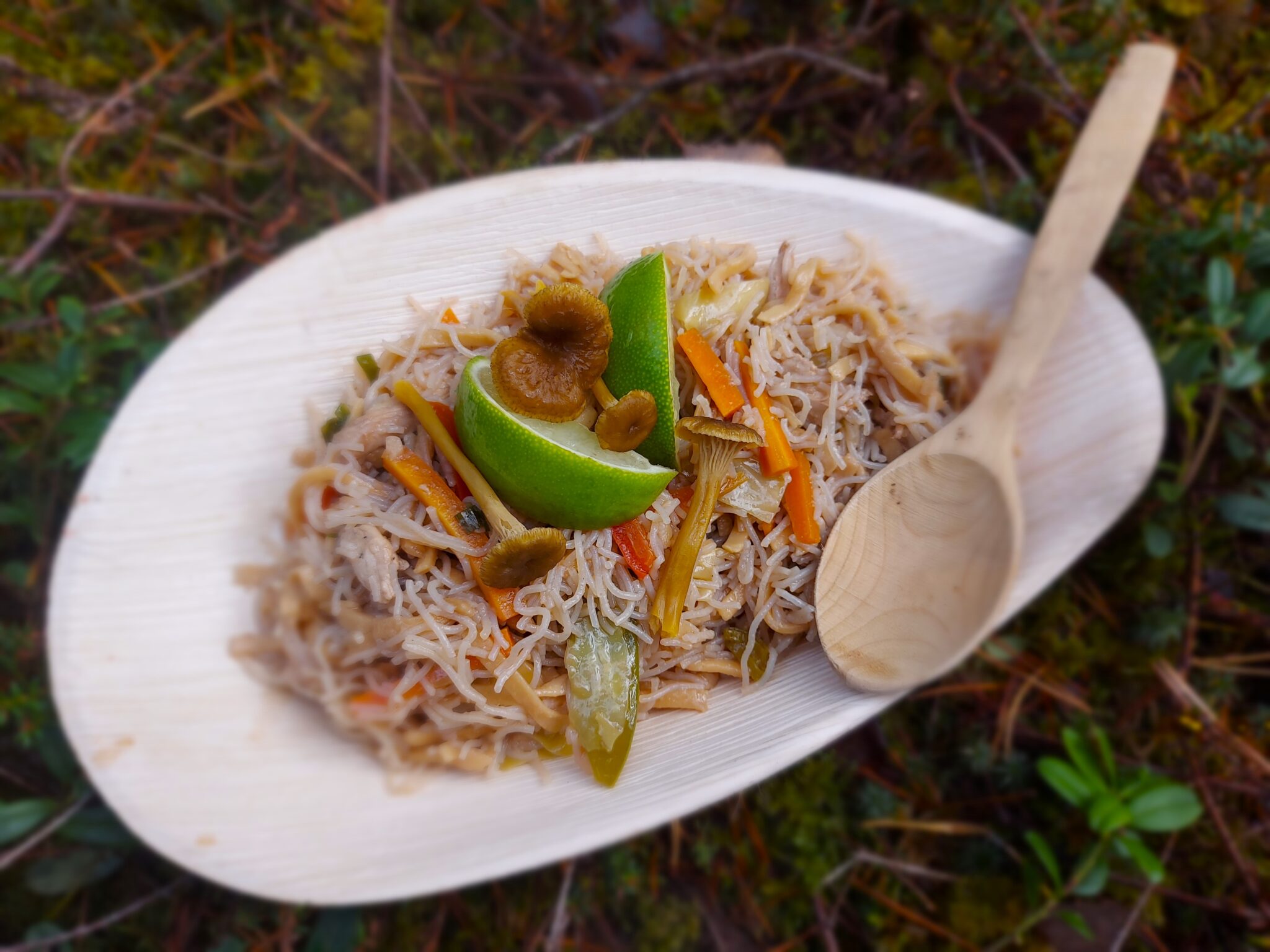 Pancit - filippinske nudler med kylling - Turmat.no